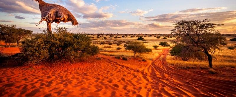 Namibia’s climate change investment strategy - Triple Capital